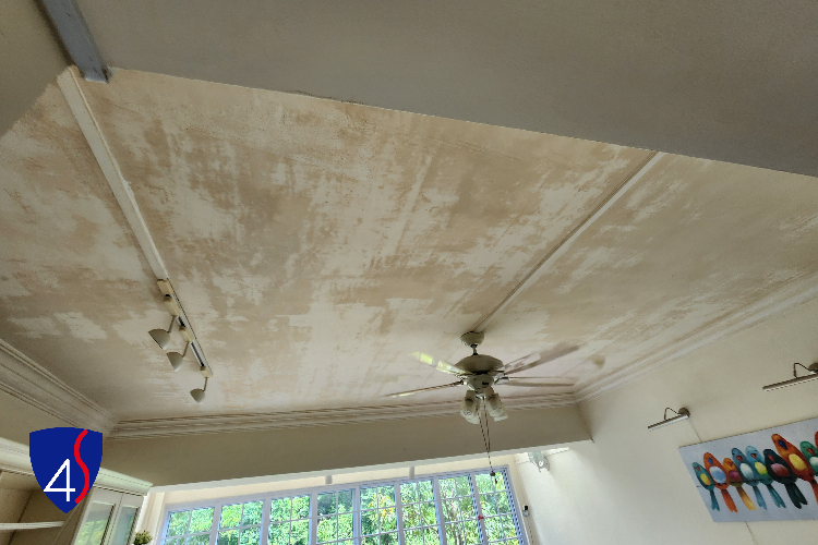 A Comprehensive Guide to Detecting Mold in Your Singapore Home - Four Solutions