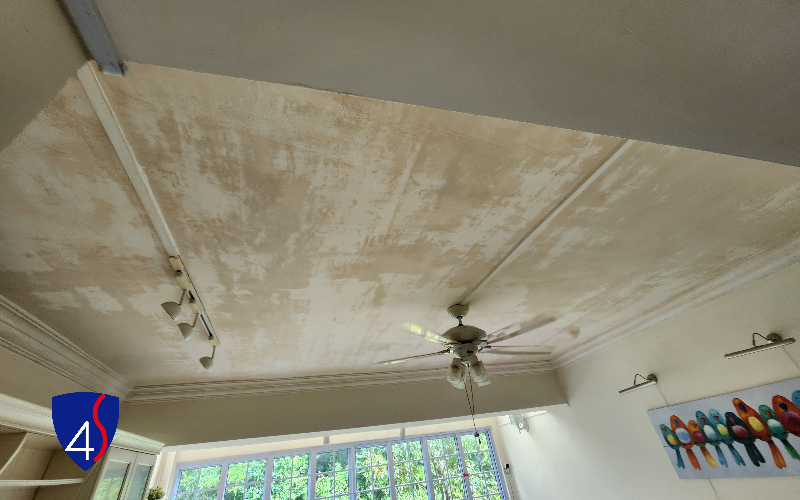 MOLD REMOVAL SINGAPORE - Four Solutions